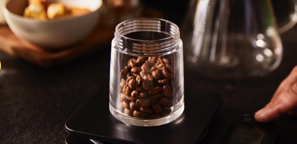 A Comprehensive Exploration of Coffee's Bitter Compounds